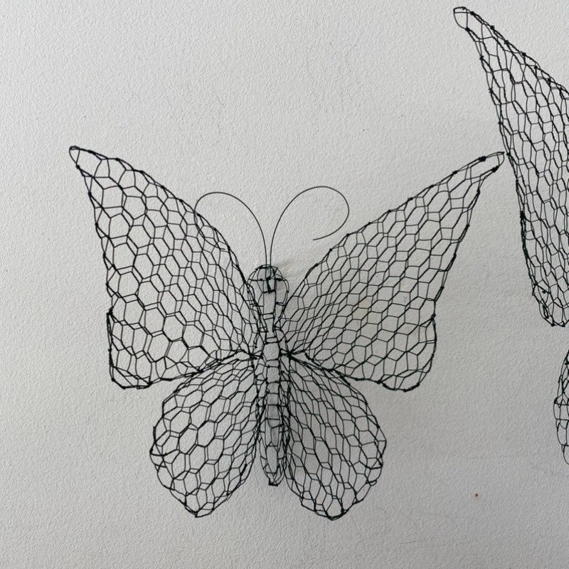 Topiary Frames - Etsy