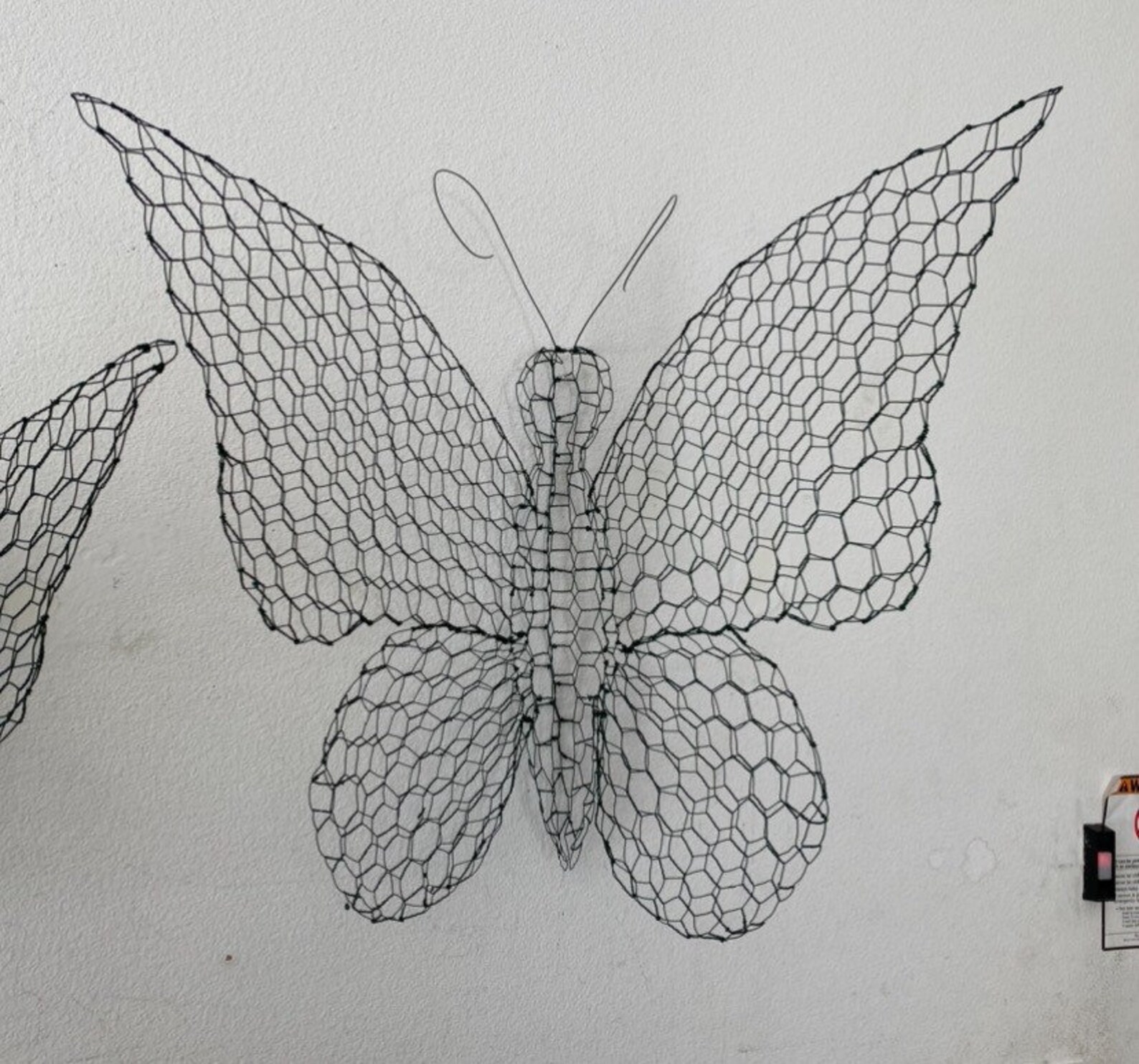 Butterfly Topiary Frames - Etsy