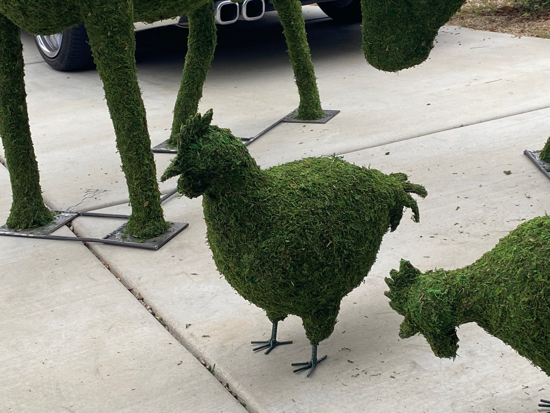 Chicken Frame Covered in Sheet Moss - Etsy