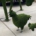 Boxer Topiary Frame - Etsy