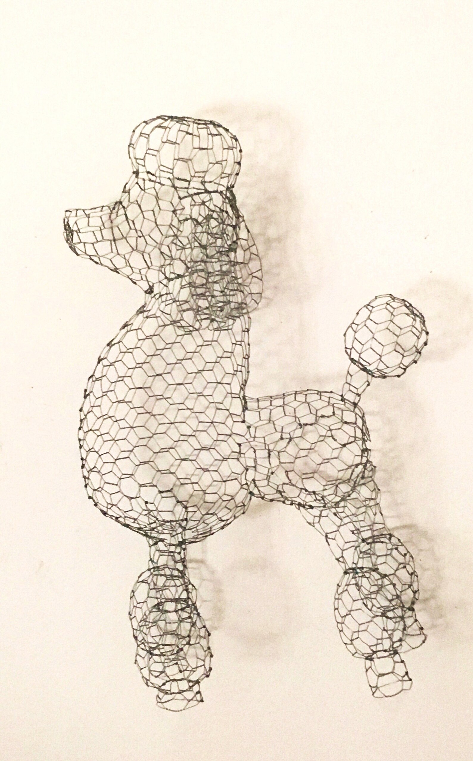 Poodle Topiary Frame - Etsy