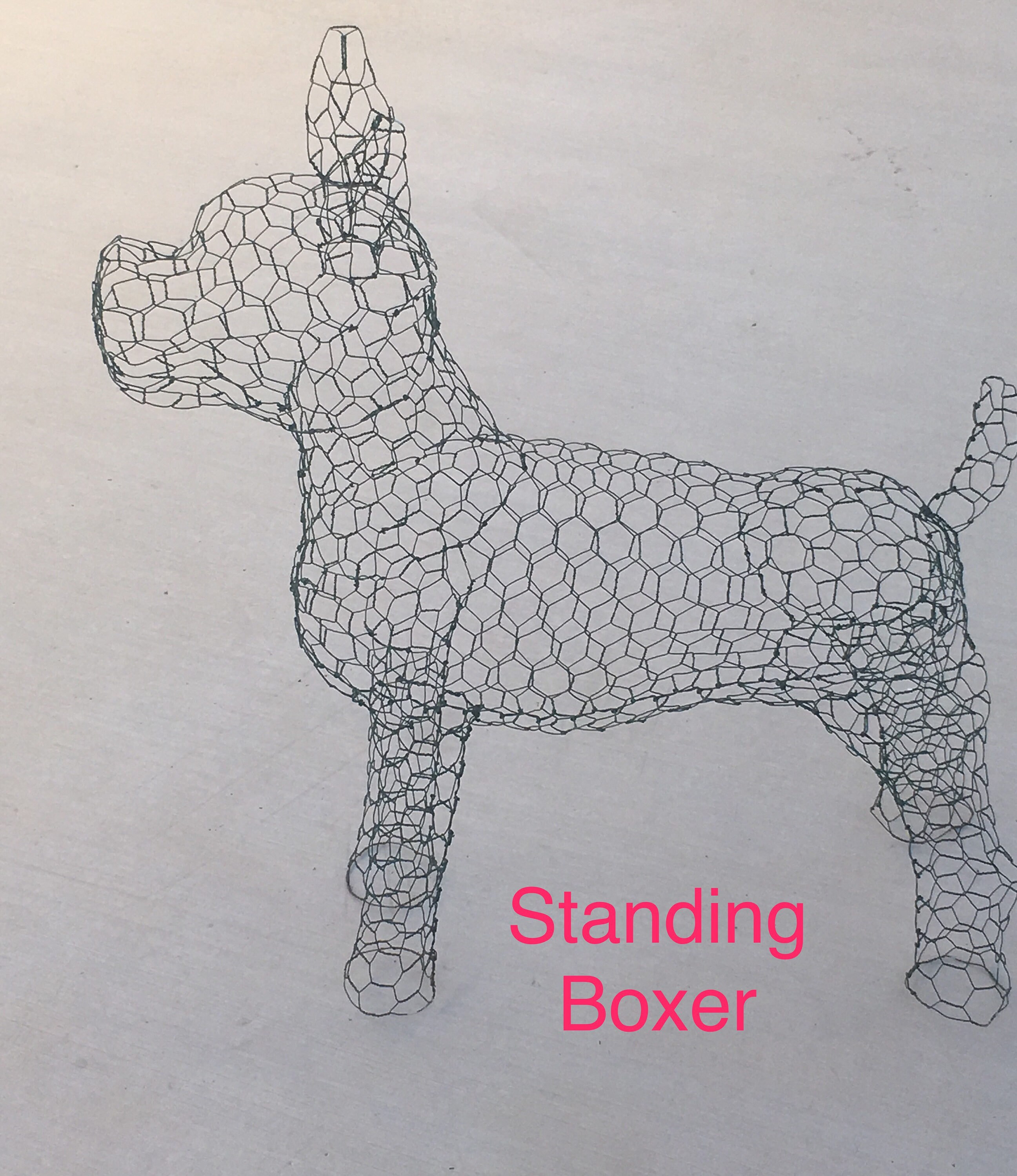 Boxer Topiary Frame - Etsy