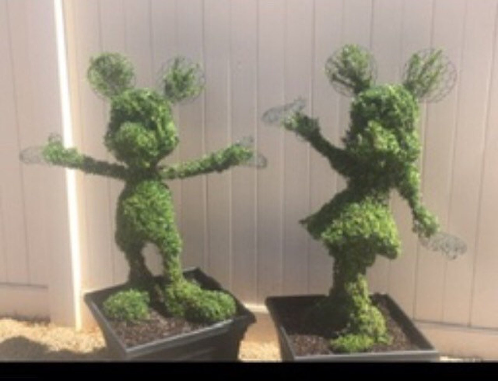 Mickey or Minnie Topiary Frame - Etsy