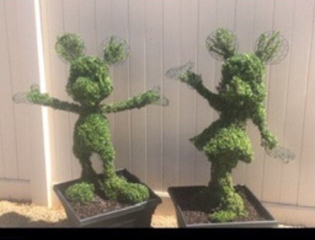 Mickey or Minnie Topiary Frame - Etsy