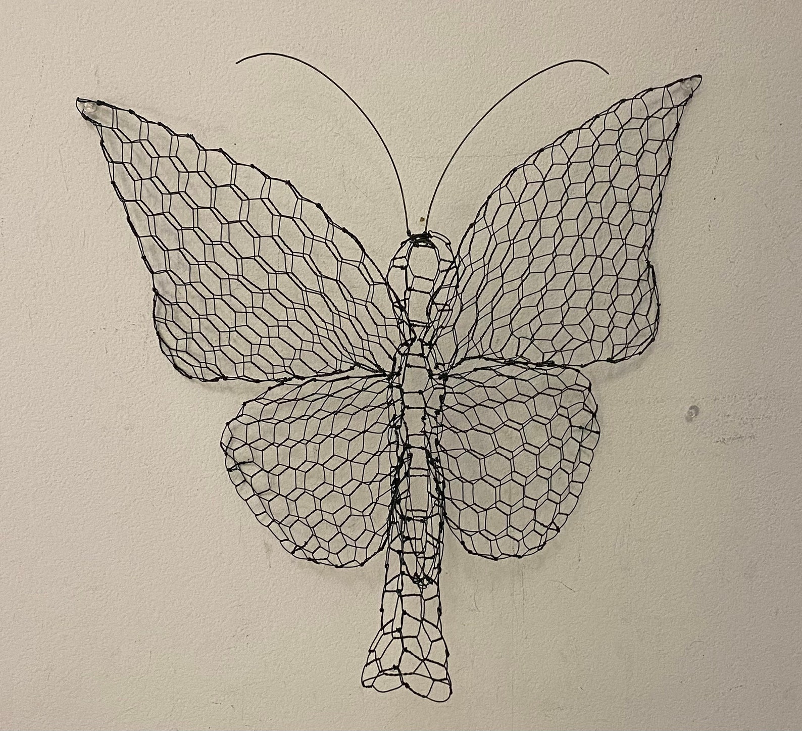 Butterfly Topiary Frames - Etsy