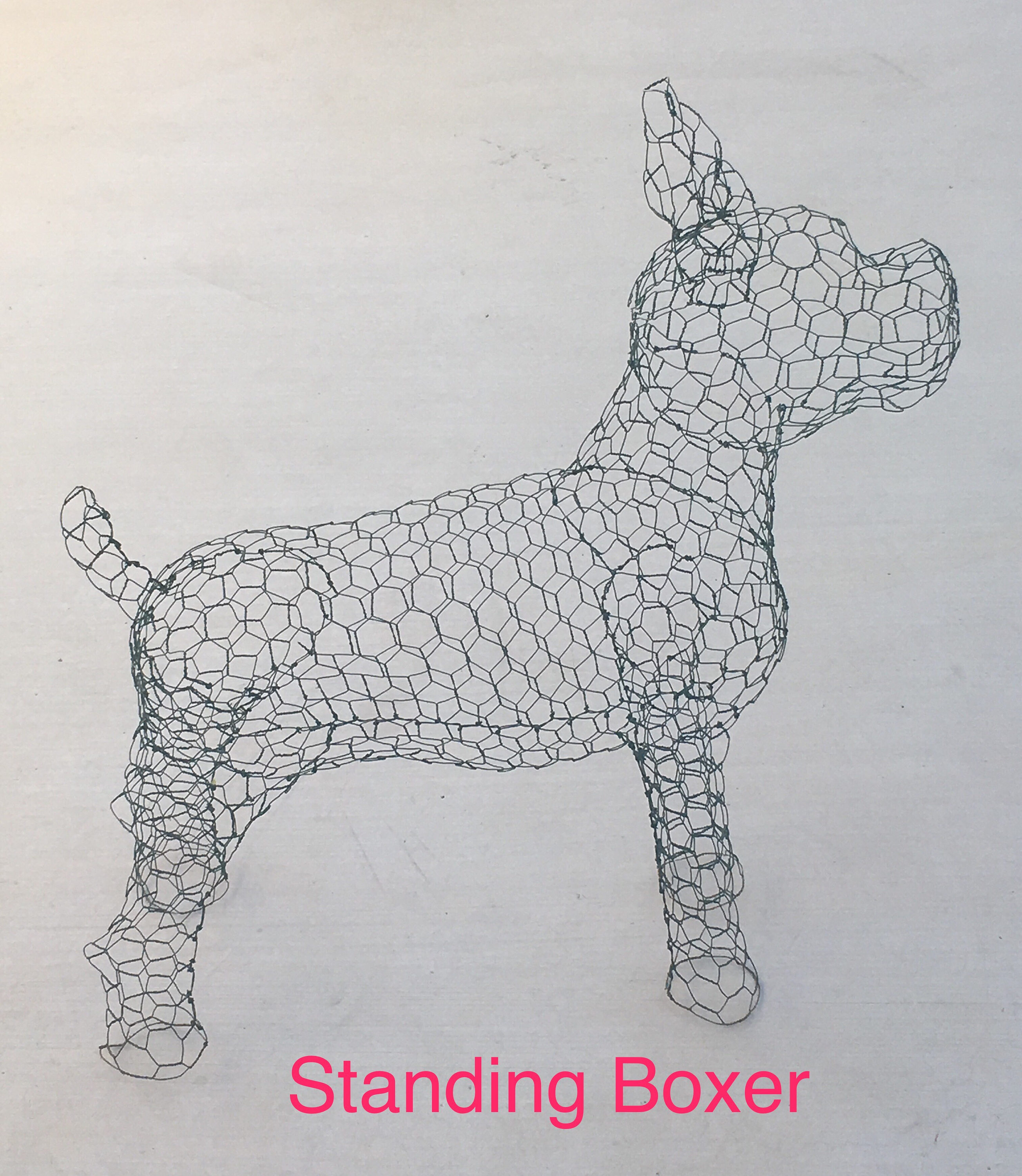 Boxer Topiary Frame - Etsy