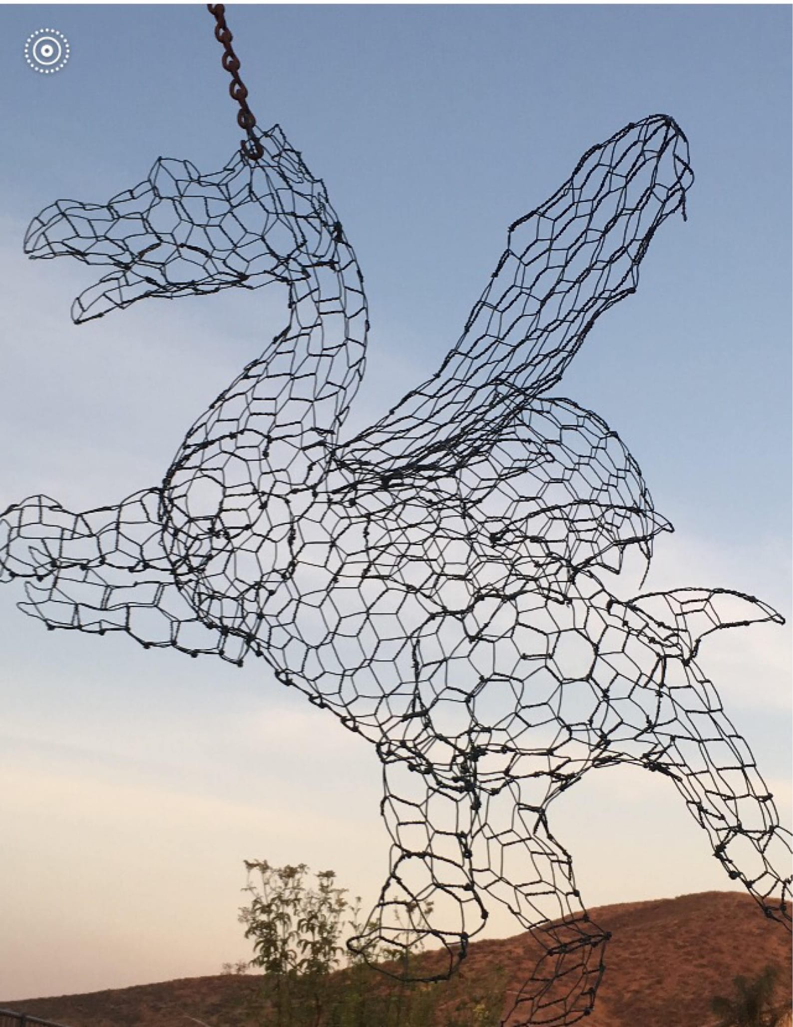 Dragon Topiary Frame - Etsy