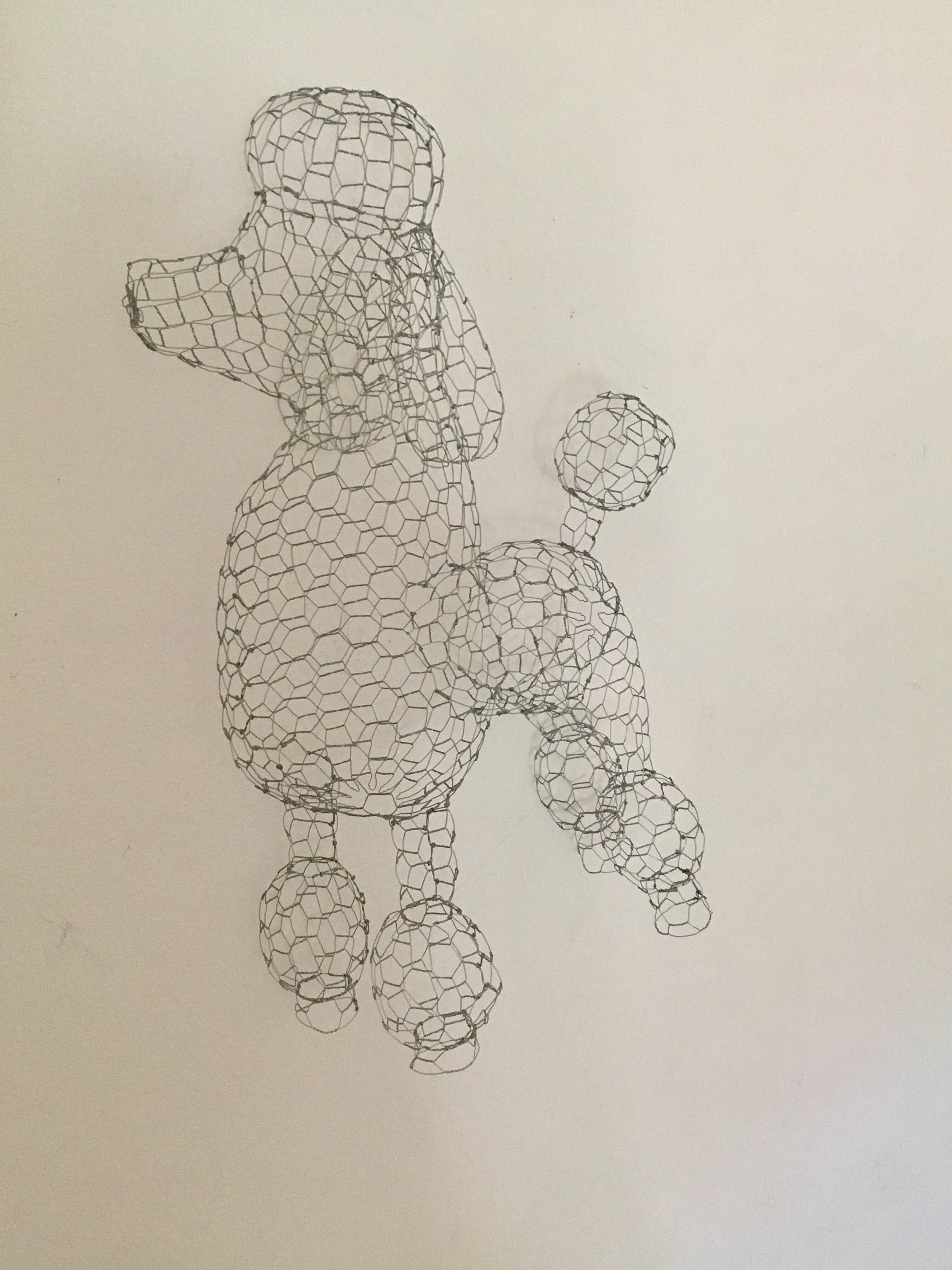 Poodle Topiary Frame - Etsy