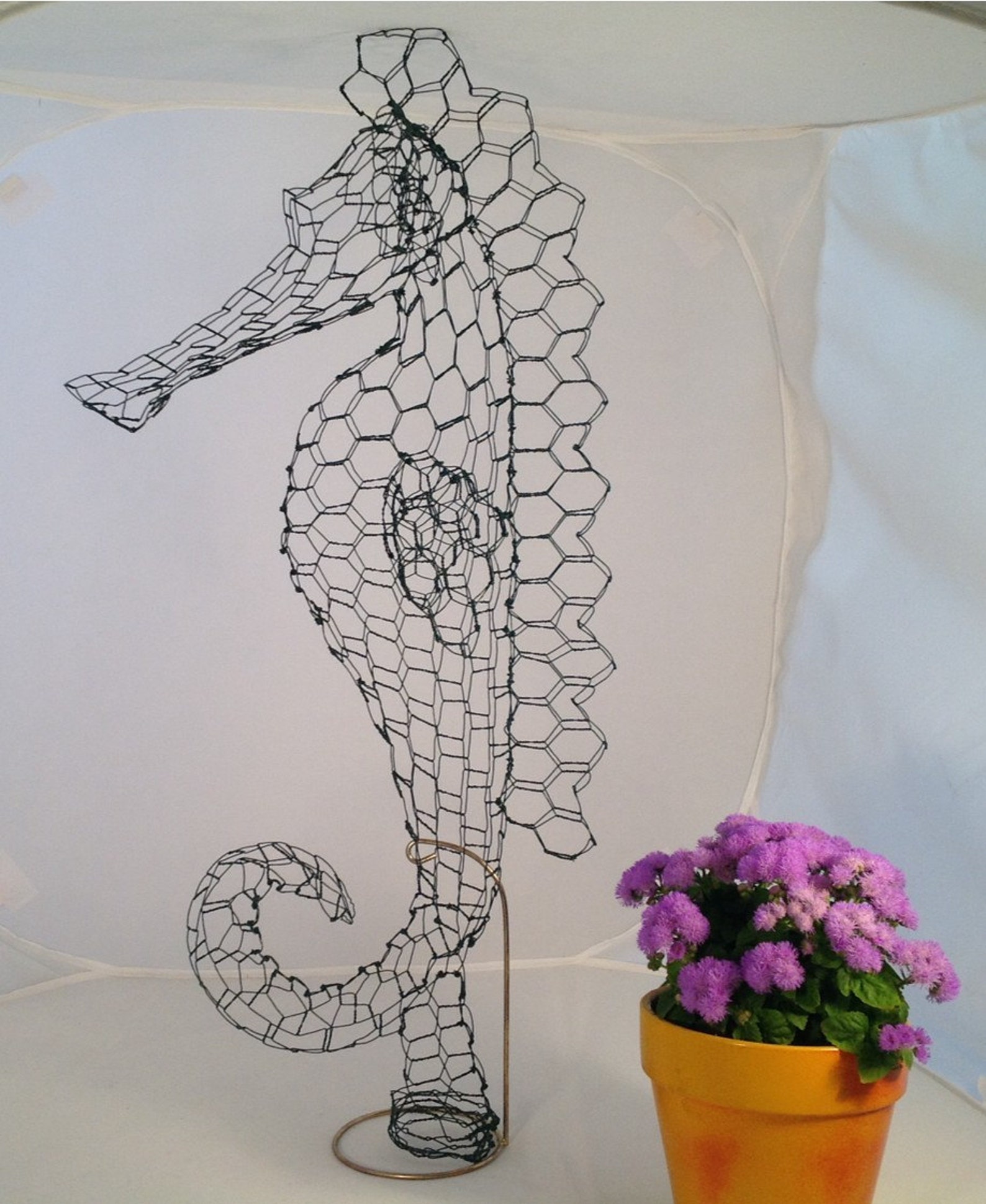 Seahorse Topiary Frame - Etsy
