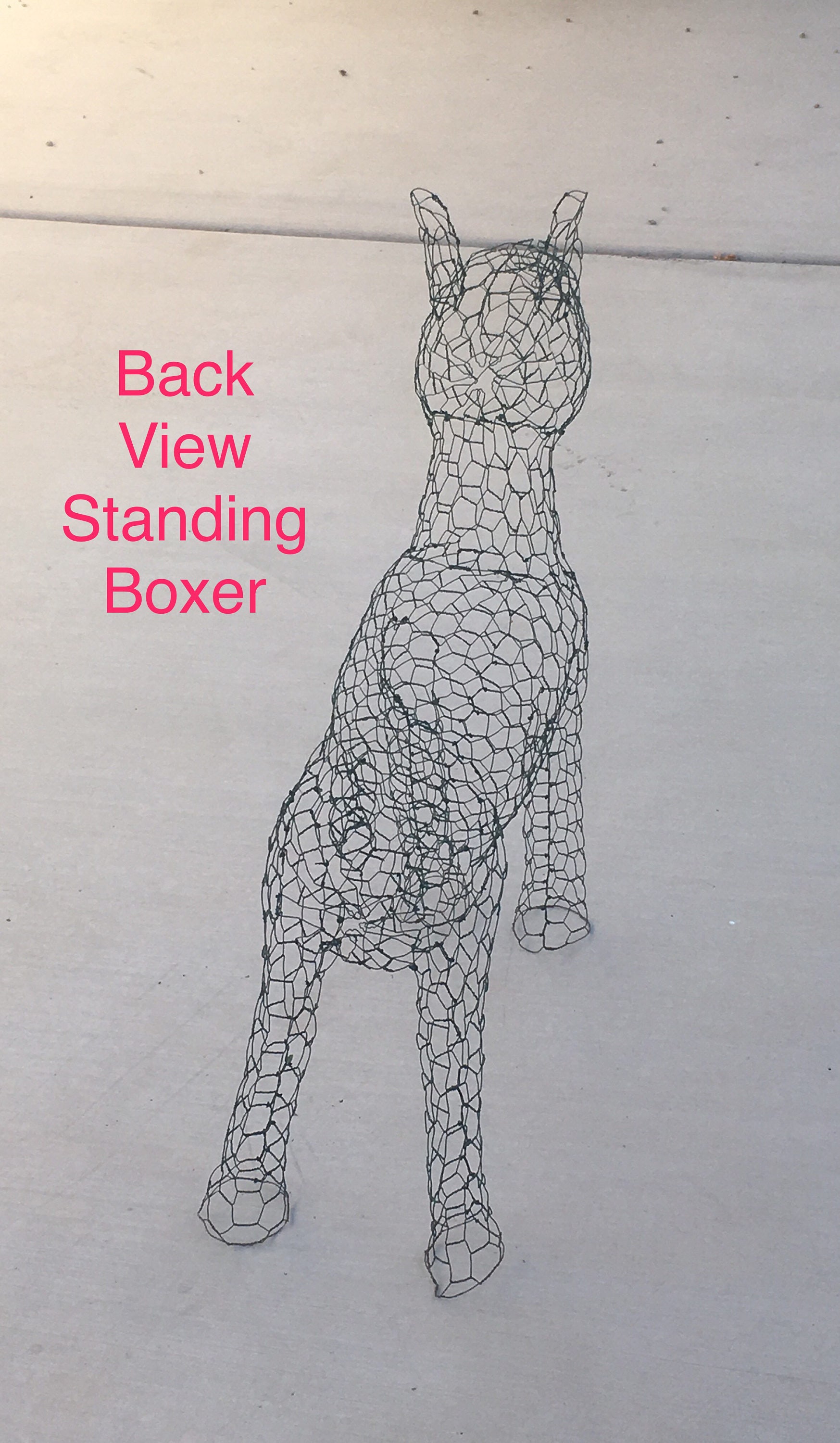 Boxer Topiary Frame - Etsy