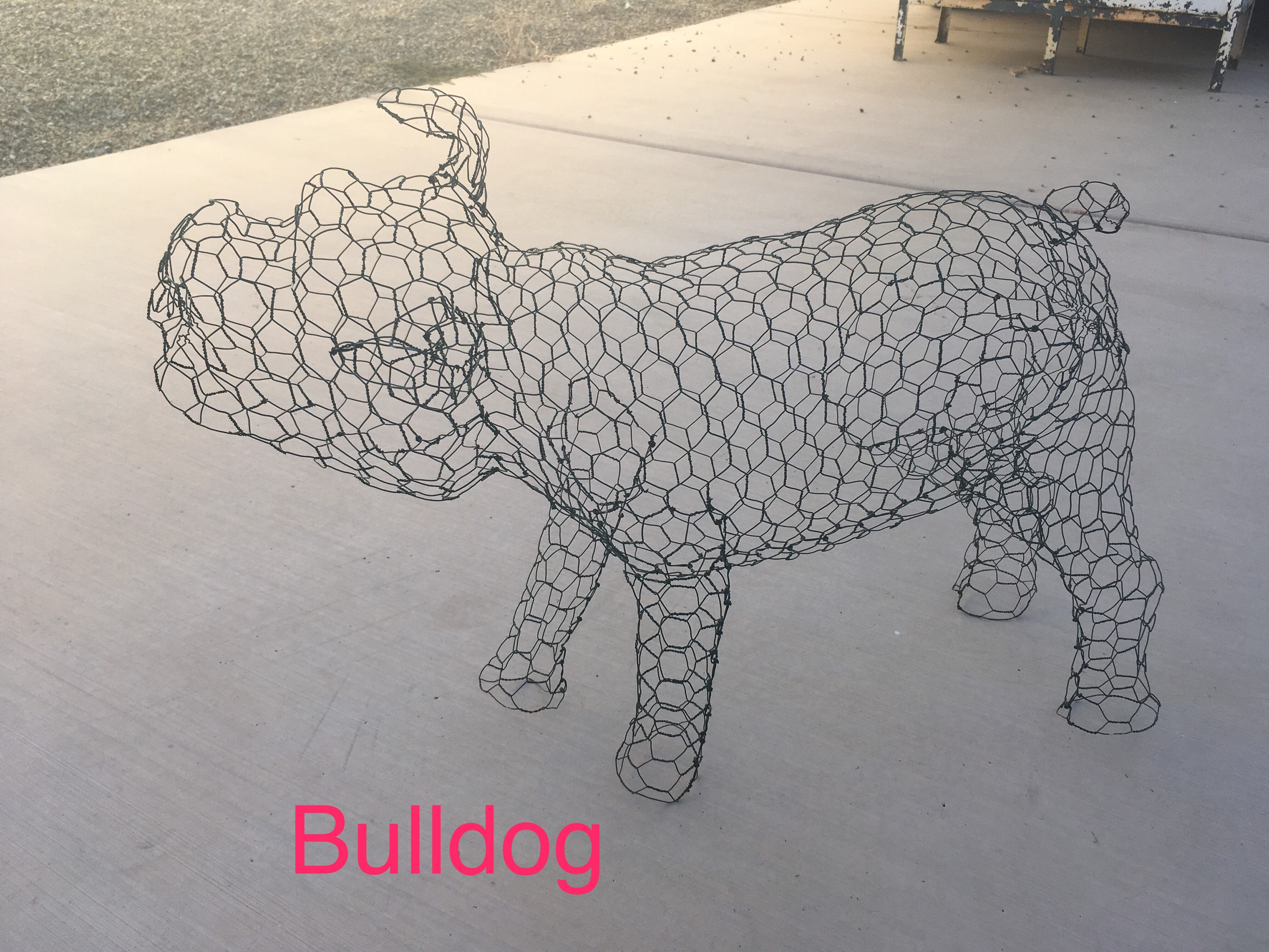 Topiary English Bull Dog Frame - Etsy