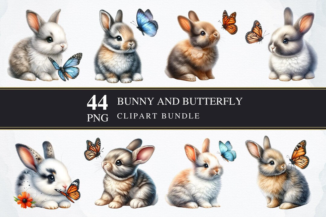 Bunny and Butterfly | Clipart PNGS | Commercial | Printable Graphics ...