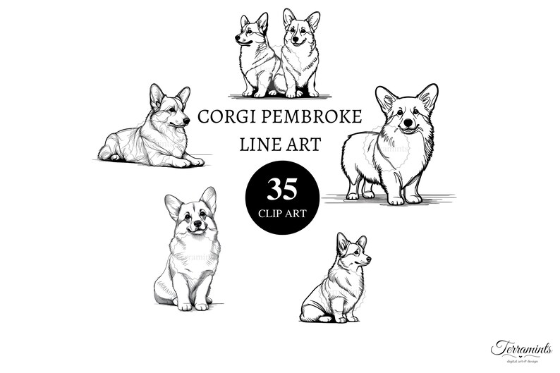 35 Corgi Pembroke Line Art Clipart Transparent Png High Resolution Card ...