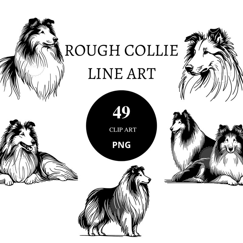 Collie - Etsy