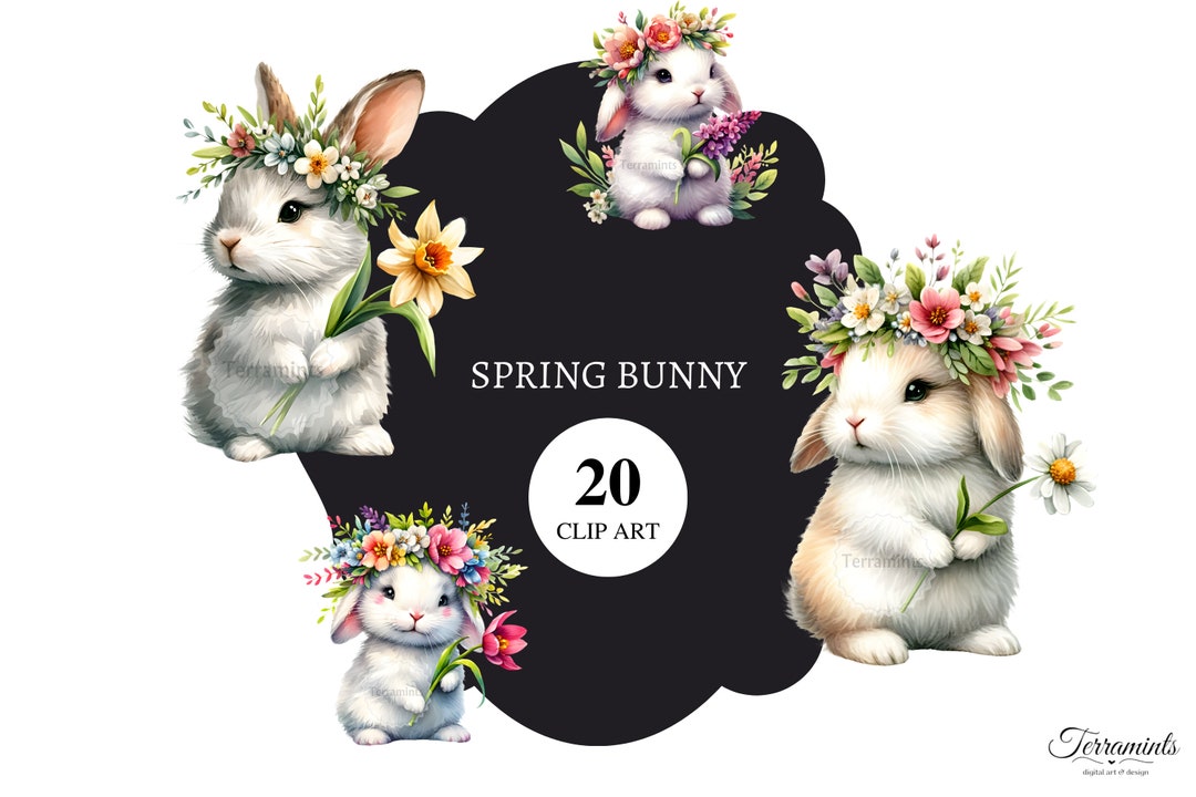 20 Spring Bunny Clip Art Transparent Background 300dpi Commercial ...