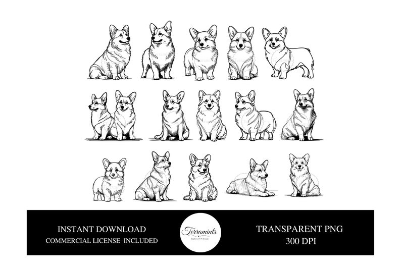 35 Corgi Pembroke Line Art Clipart Transparent Png High Resolution Card ...
