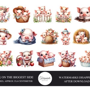 Little Pig and Friends | Clipart PNGS | Commercial | Pigs Graphics ...
