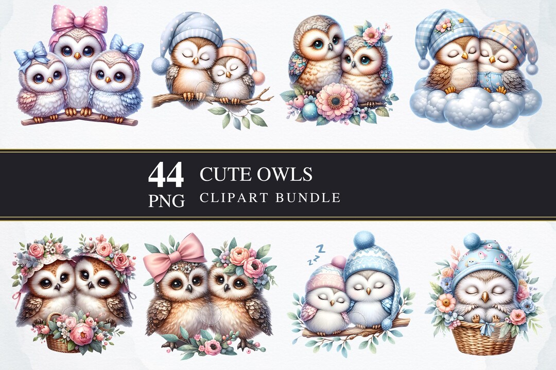 Cute Owls Clipart | Transparent PNG | Commercial License | Printable ...