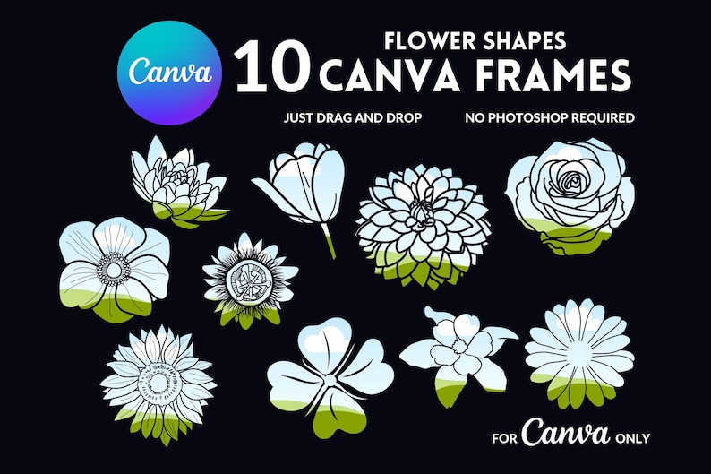 Editable Canva Circle Frames, Canva Flower Frames, Flower Shape Canva ...