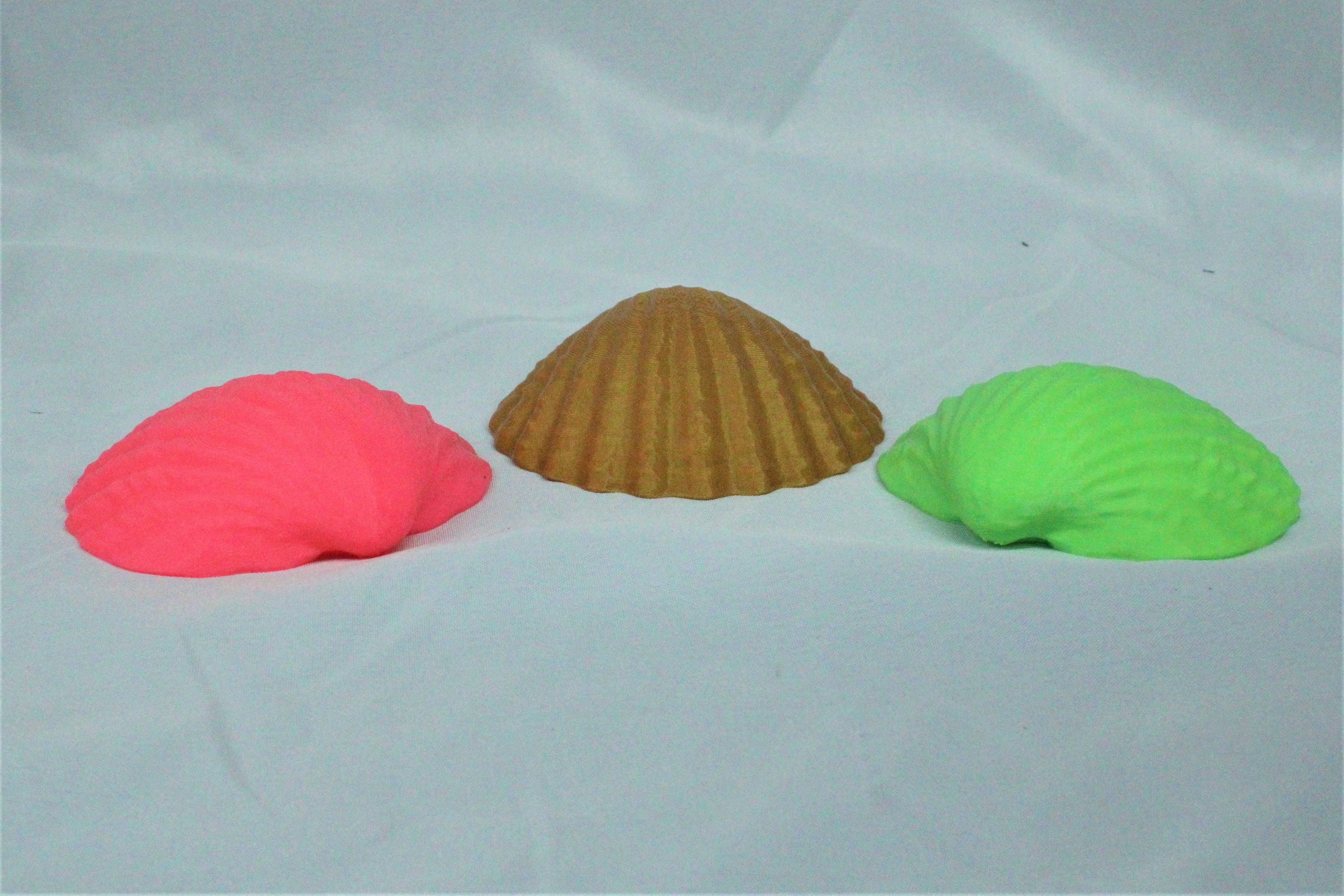 3 Seashells | Etsy