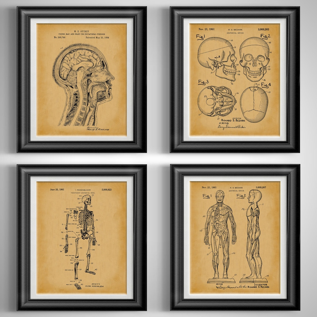 Anatomy Posters Human Anatomy Art Pre Med Gift for Medical Student Gift ...