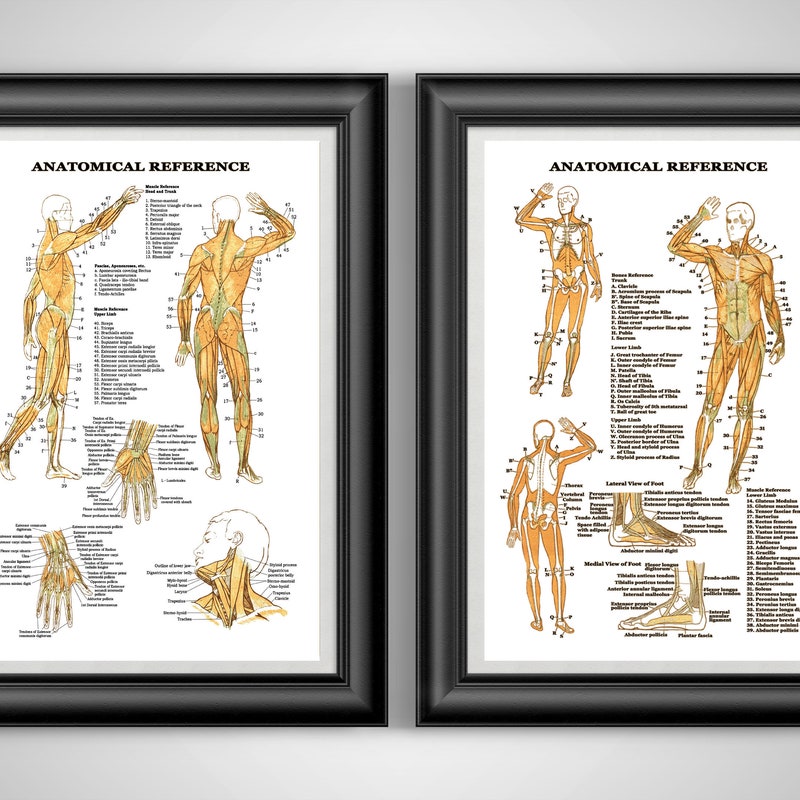 Physical Therapy Wall Art - Etsy