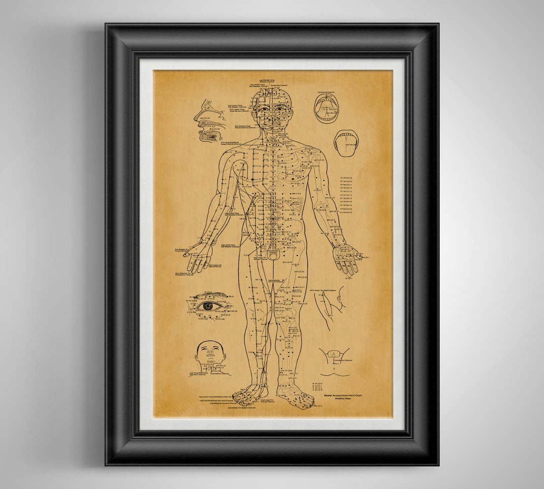 Acupuncture Point Chart | Acupuncturist Gift | Anatomy Art Print ...