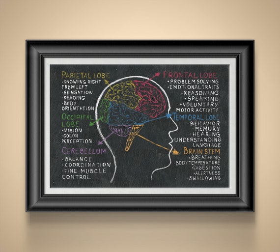 Perception Psychology Art