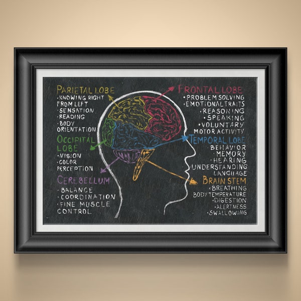 Brain Poster - Etsy
