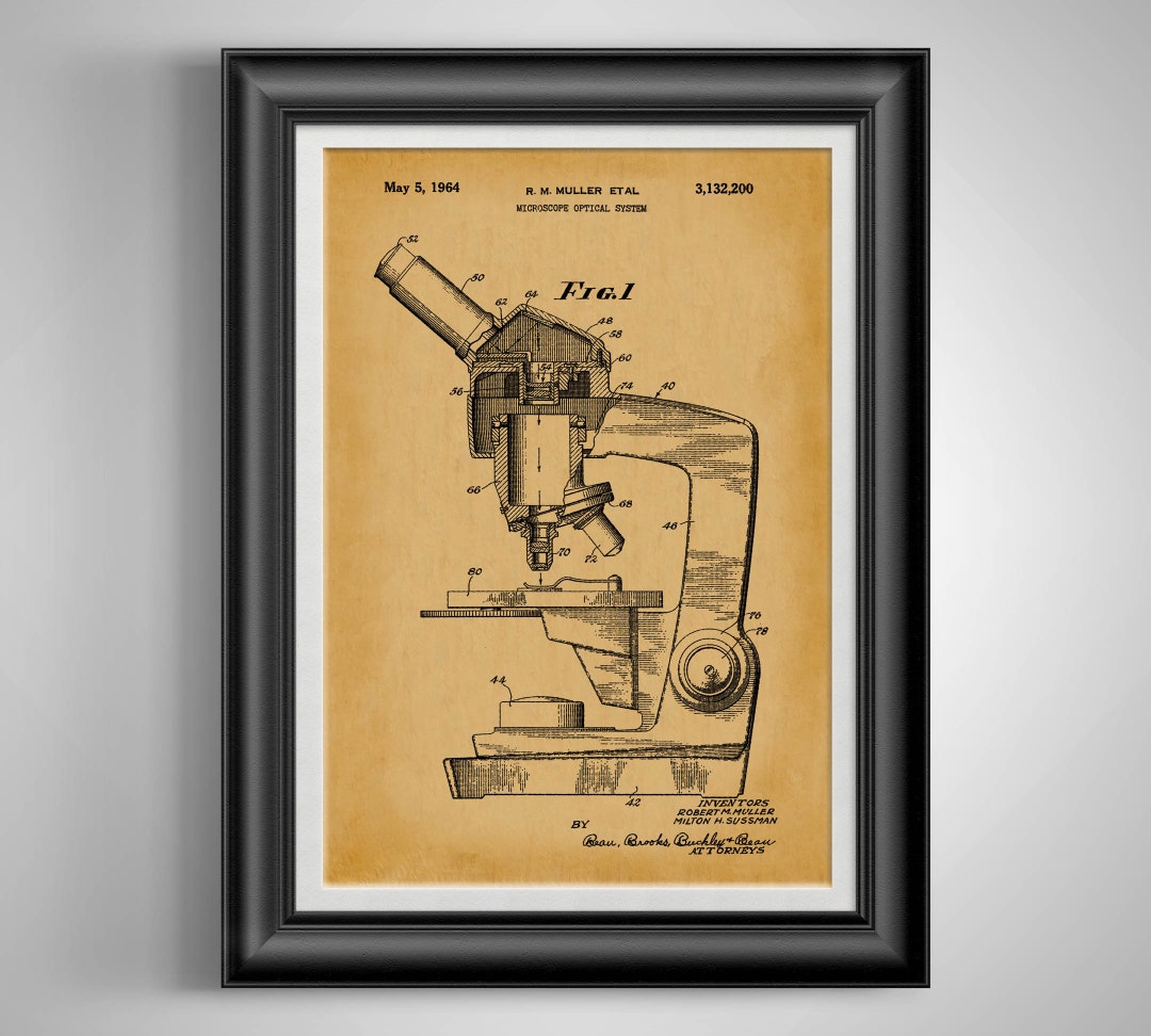 Microscope Poster Science Teacher Gift Biology Gifts Scientist Gifts ...