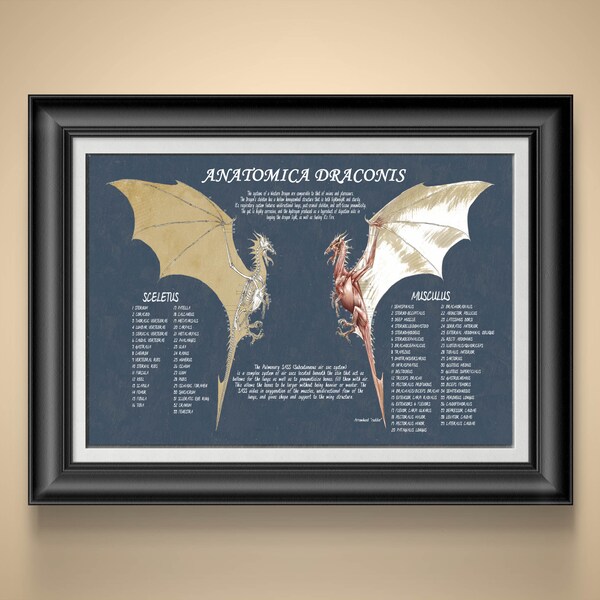 Dragon Anatomy Drawing - Etsy
