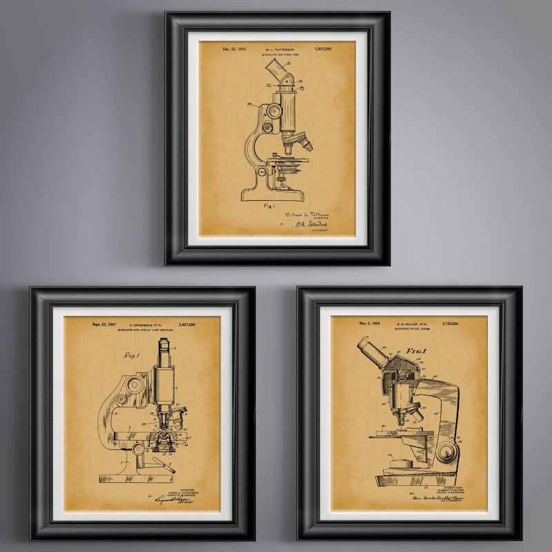 Microscope Art - Etsy