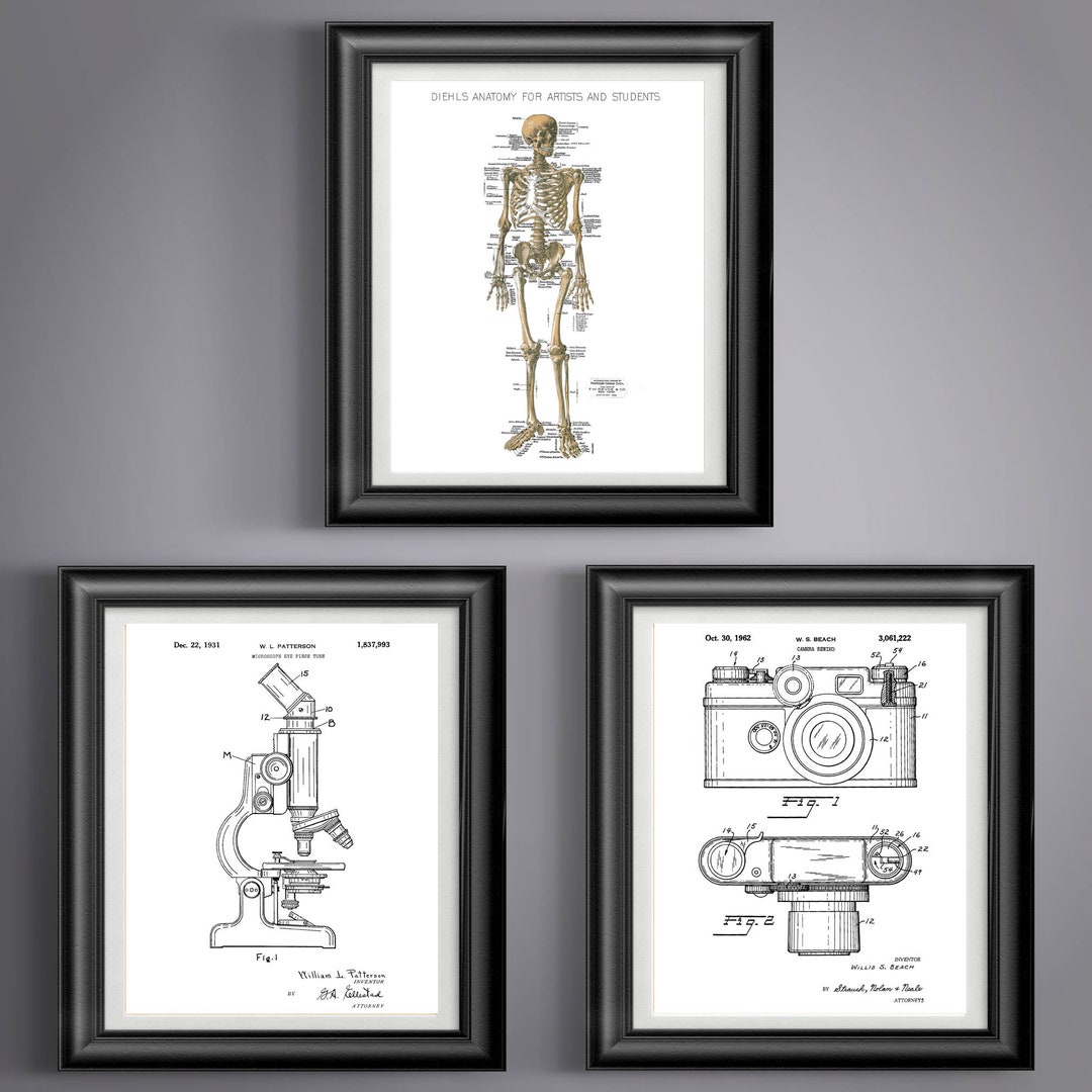 Forensic Science Wall Art | Police CSI True Crime Prints | Microscope ...
