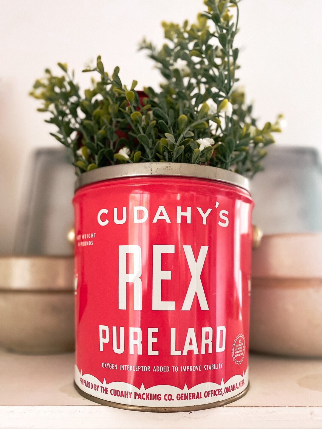 Vintage Red Rex Lard Bucket - Etsy