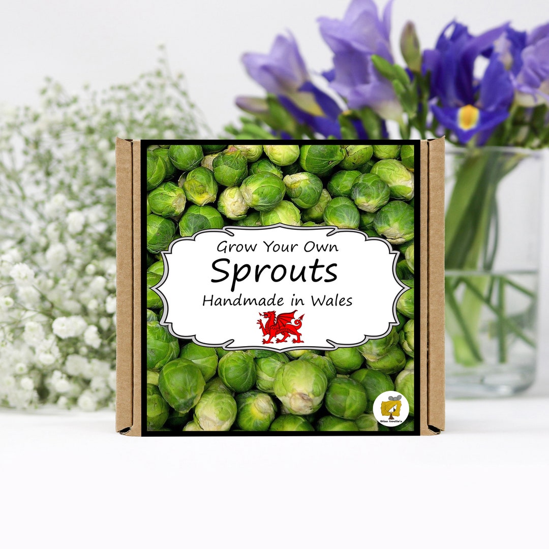 Grow Your Own Vegetables Kit. Sprouts | Gardening Gift | Gift for Him ...