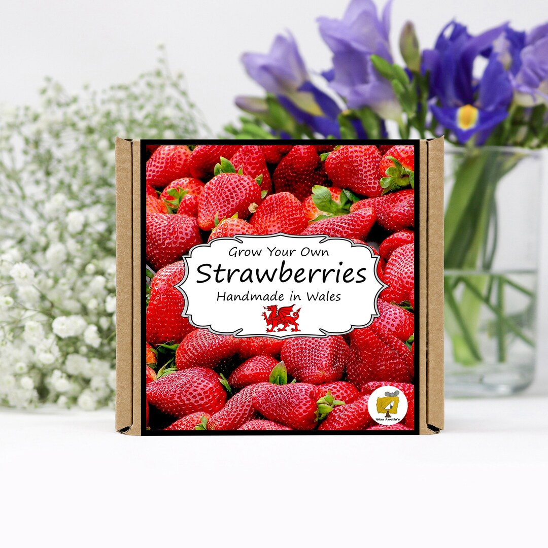 Grow Your Own Strawberry Plant Kit. Gardening Gift. Birthday Gift ...