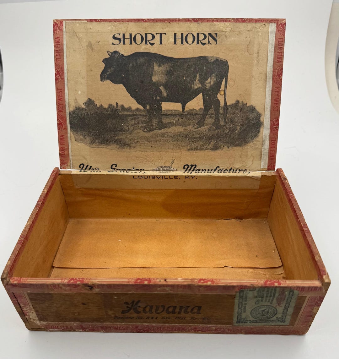 Vintage Cigar Box Short Horn RARE 1900s - Etsy