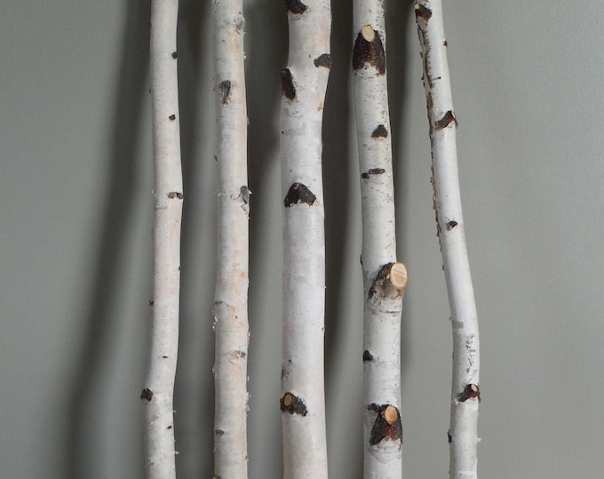 White Birch Sticks/decorative White Birch/ 5 PC/3 Ft. Lengths/white ...