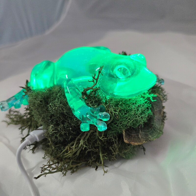 Frog Lamp - Etsy