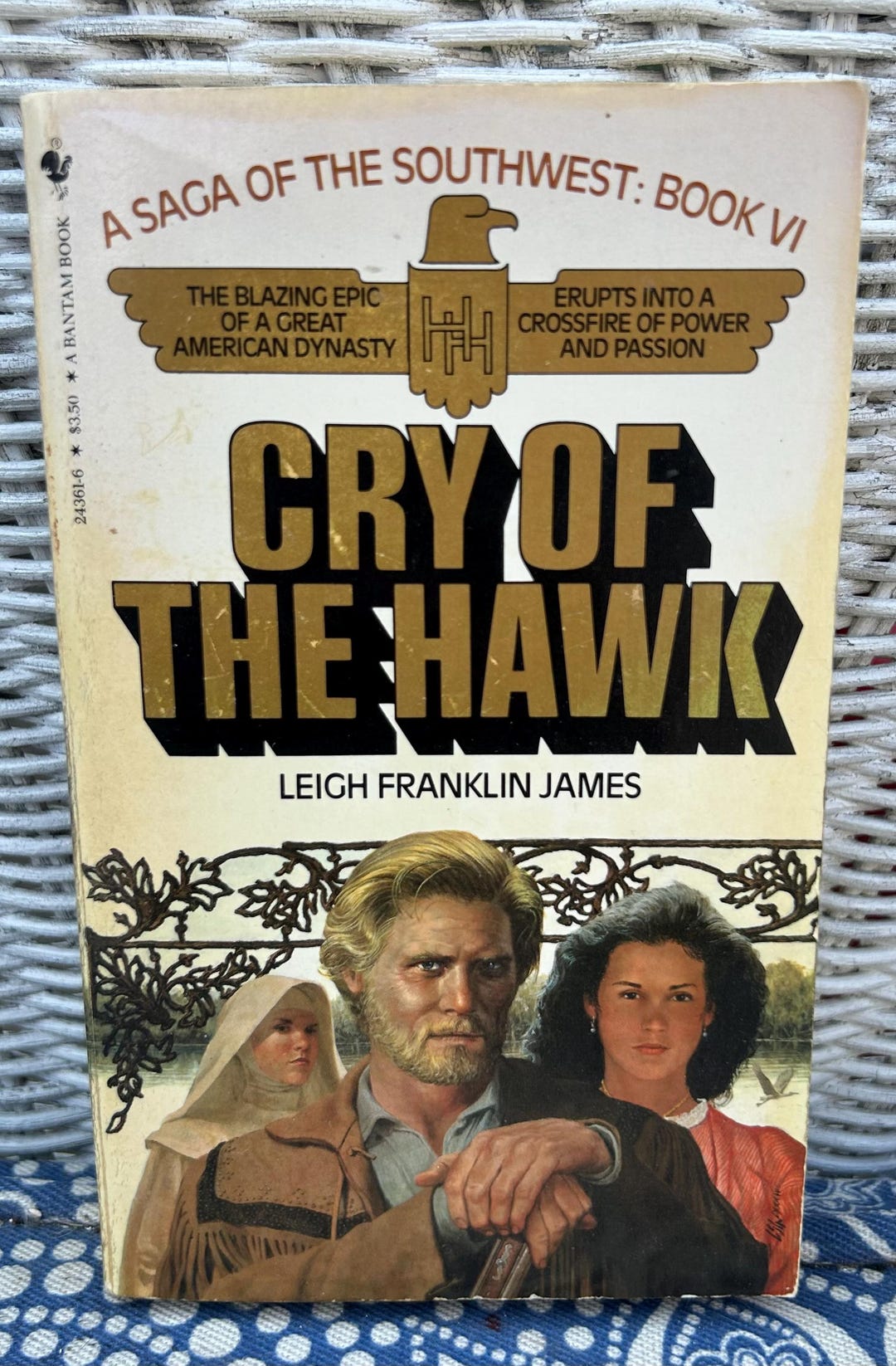 Vintage 'cry of the Hawk' by Leigh Franklin James Paperback Book 1984 ...