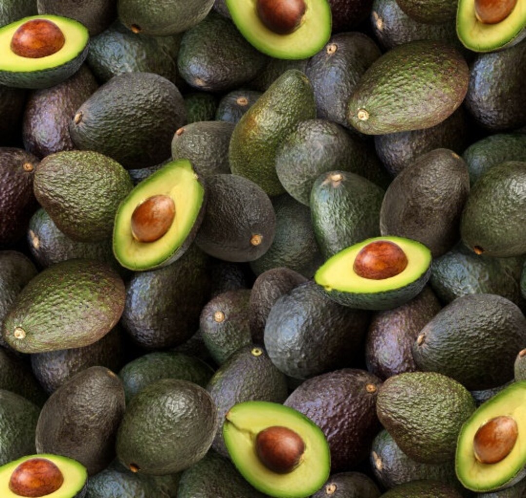 QUILT FABRIC Avocados, 100% Cotton, Cotton Quilt, Cotton Designer - Etsy