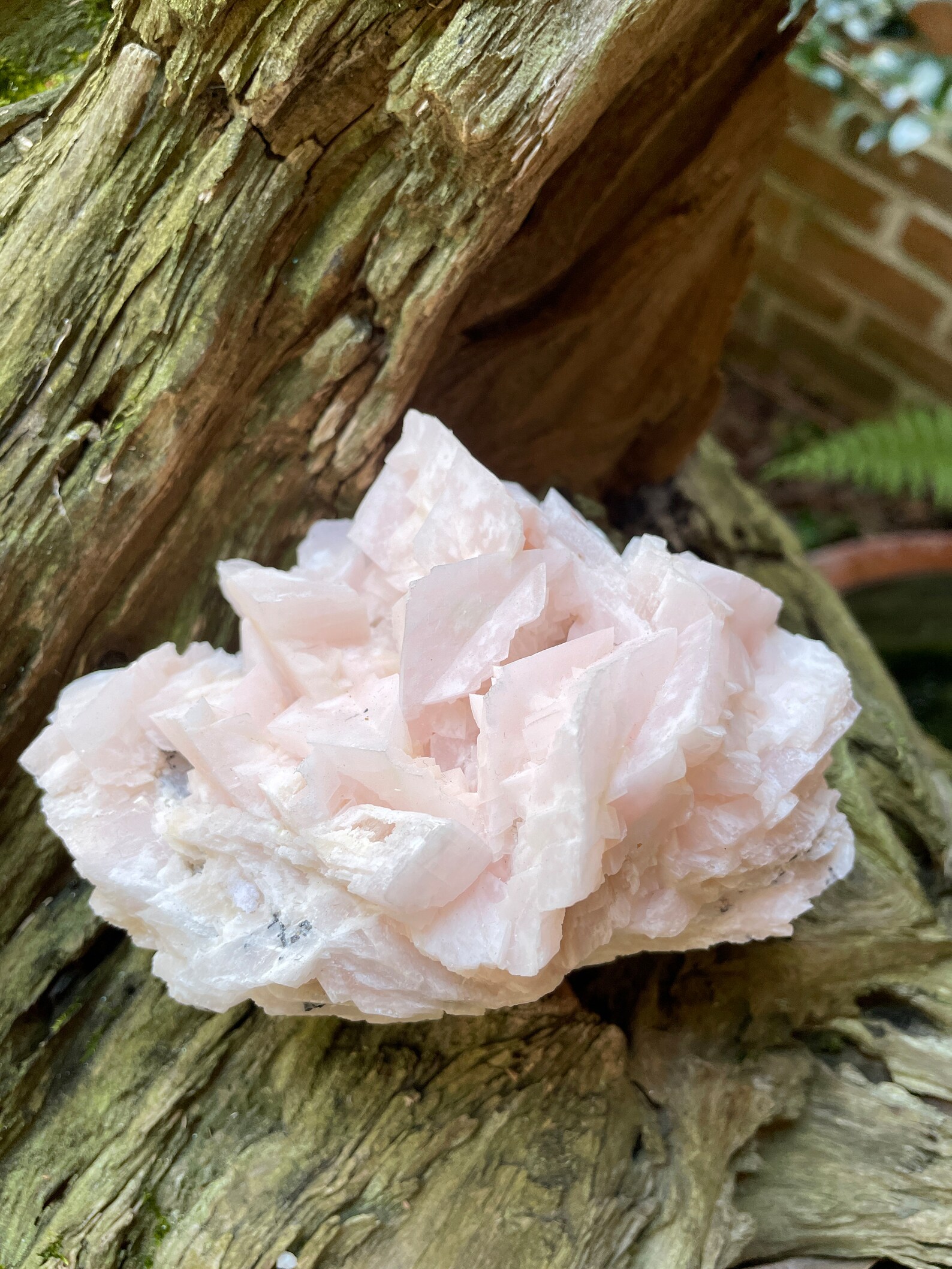 Mangano Calcite Specimen From Racracancha Mine, Cerro De Pasco, Peru ...