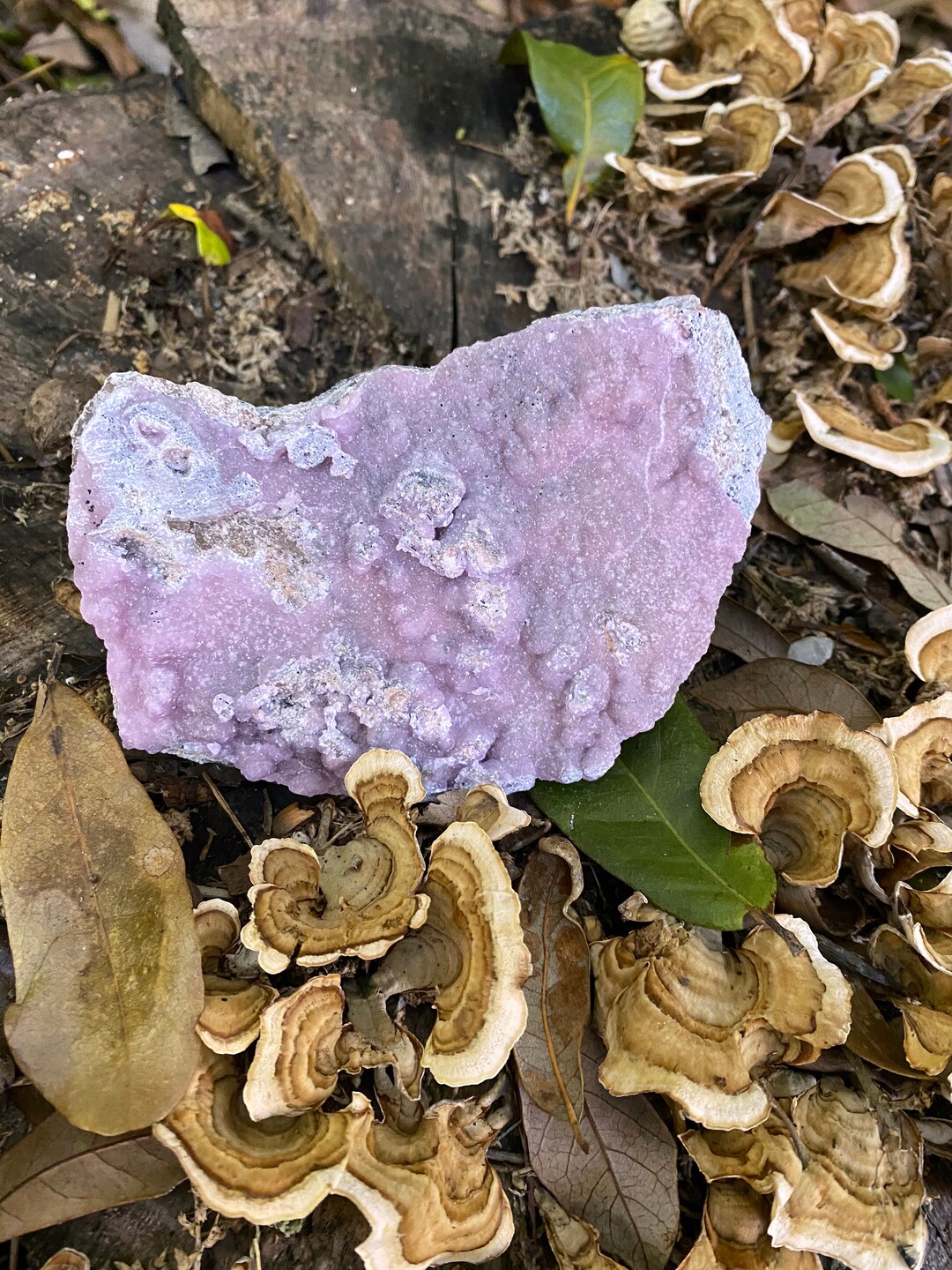 Light Pink and Purple Botryoidal Smithsonite 300g Specimen From Choix ...