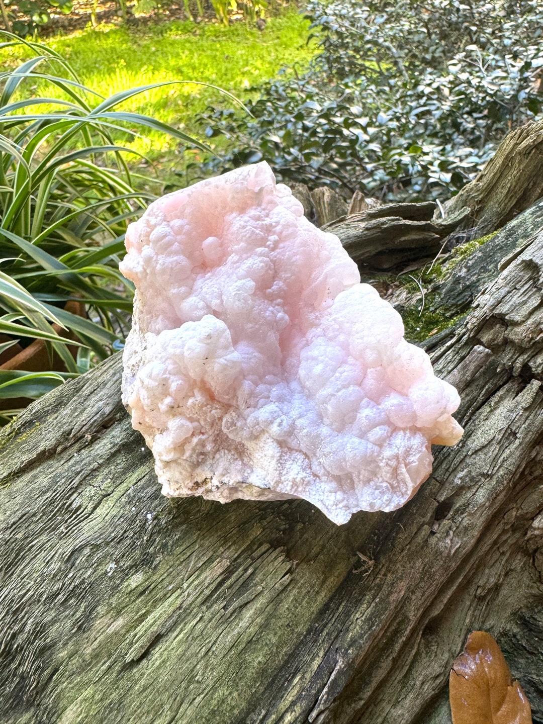 Rare Beautiful Botryoidal Natural Pink Opal From Ica, Peru Specimen ...
