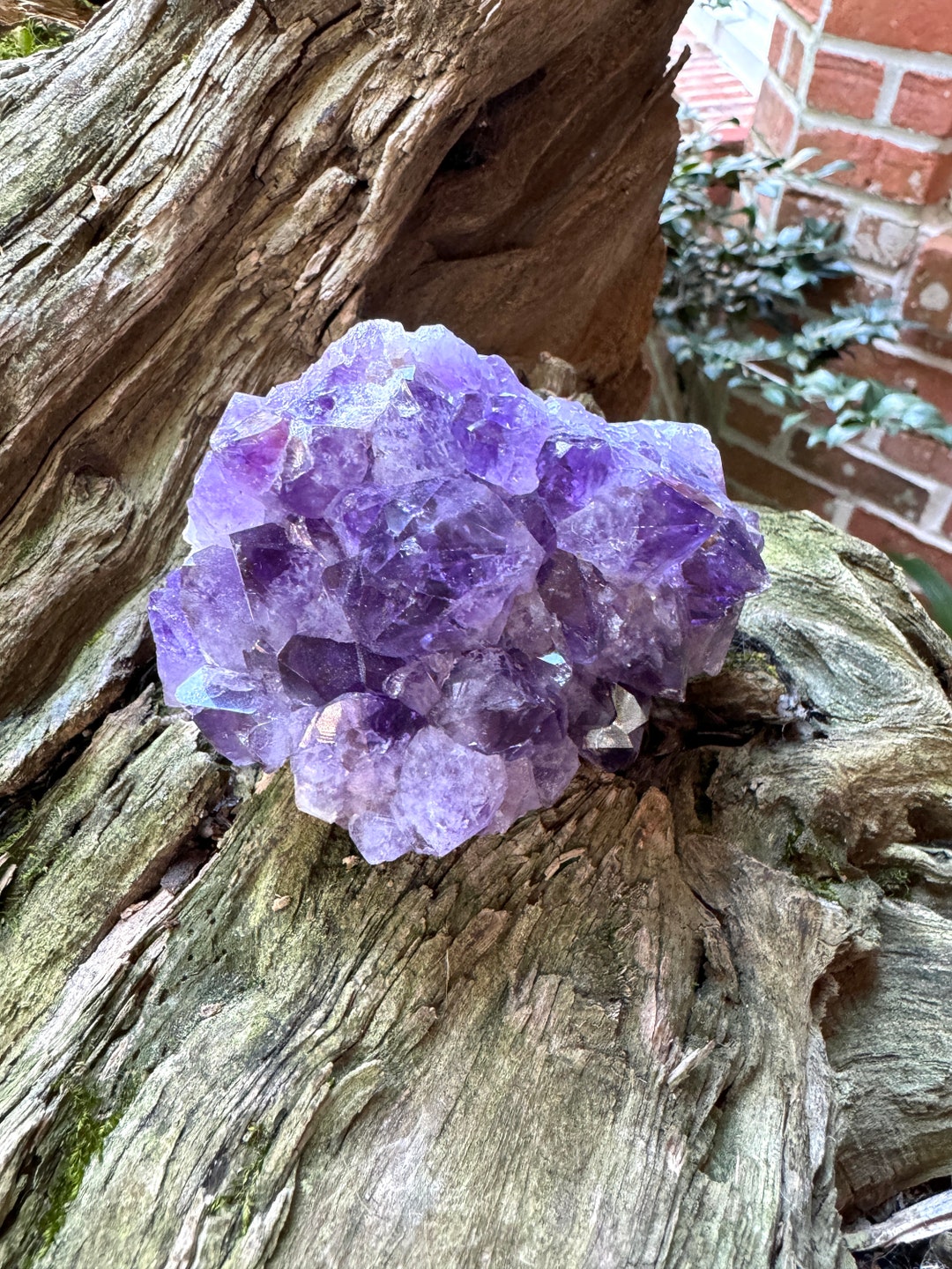 Avalon Amethyst Specimen: Newfoundland Purple Crystal (289.7g) - Etsy