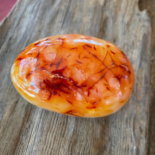 Madagascar Palm - Etsy