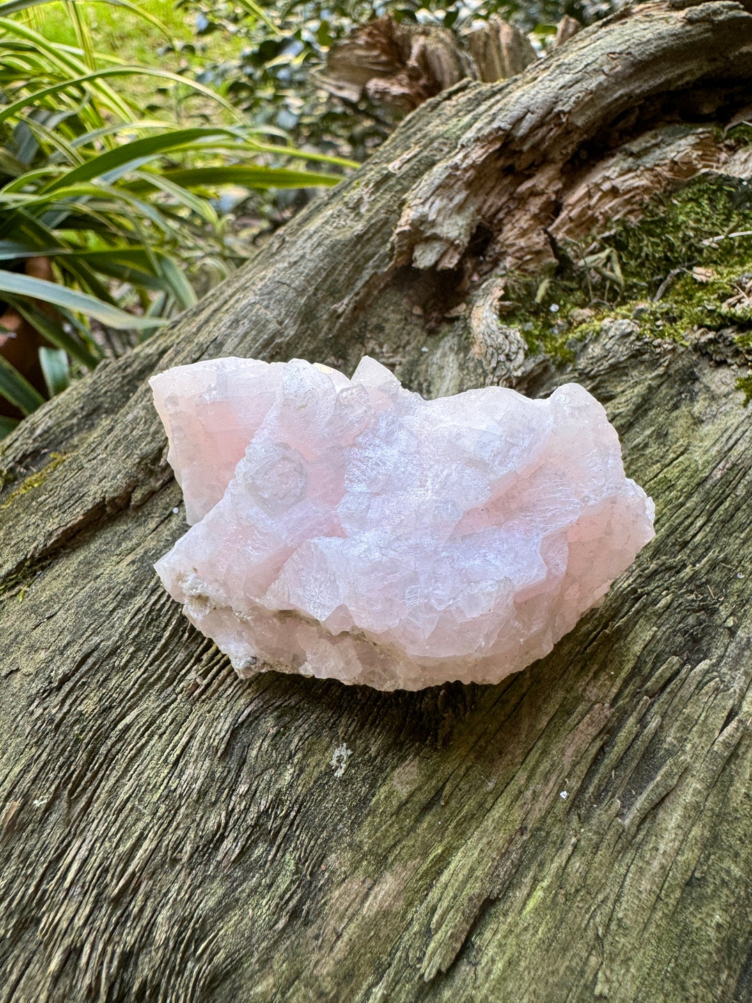 Mangano Calcite Specimen: Pale Pink Mineral Crystal, Bulgaria (72.3g ...