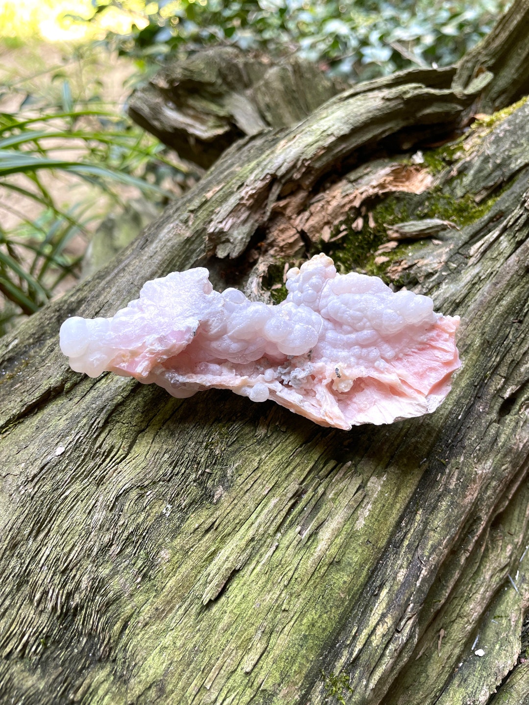 Rare Natural Botryoidal Pink Opal From Ica, Peru Specimen 84.5g Mineral ...