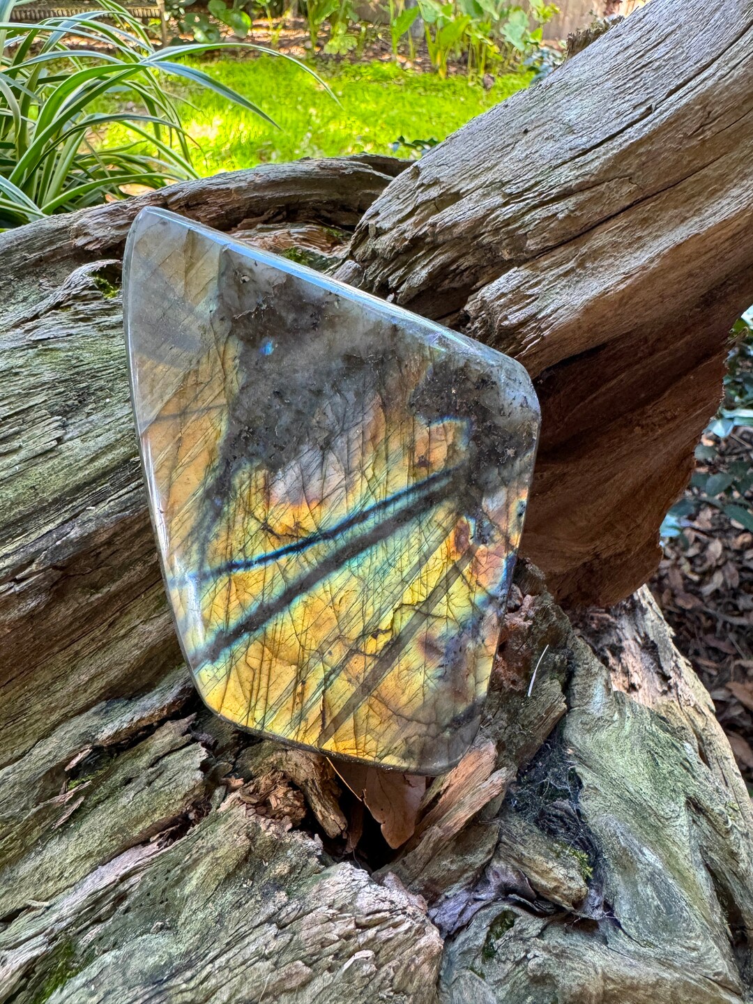 Polished Rainbow Labradorite Free Form 820g From Madagascar Mineral ...
