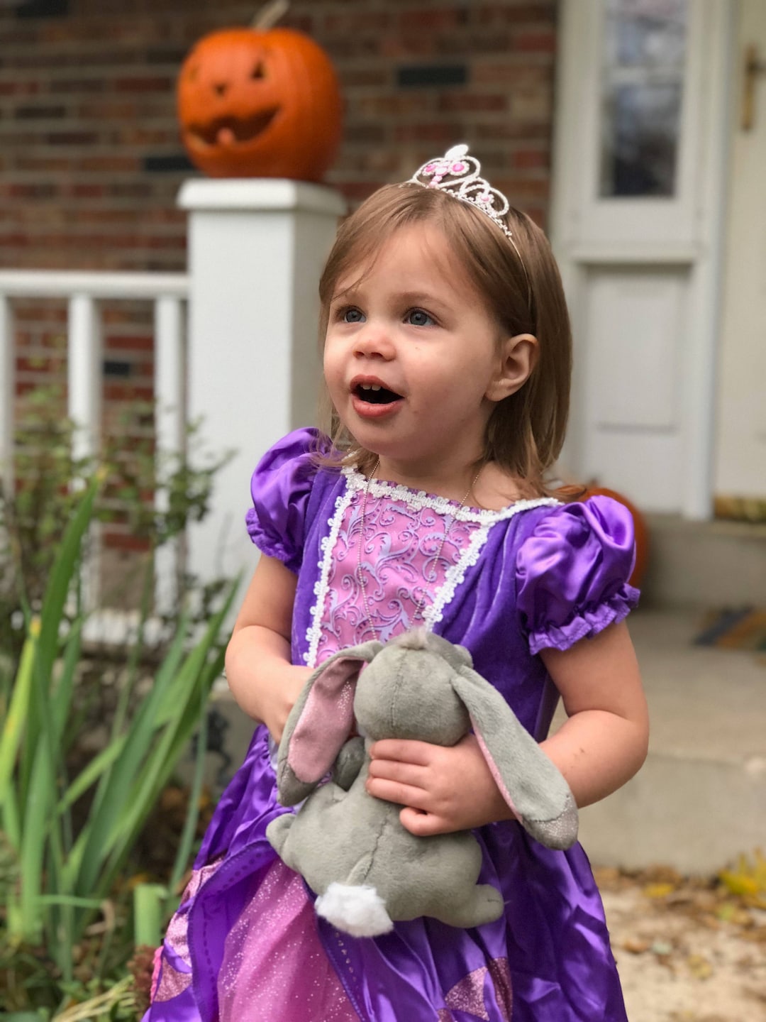 Princess Sofia the First Birthday Tiara, Princess Sofia New Pink Amulet ...